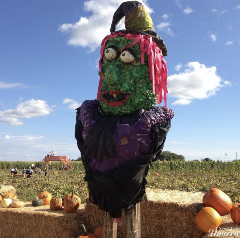 Explore The World’s Largest Corn Maze in Dixon, CA | I Need This Unicorn