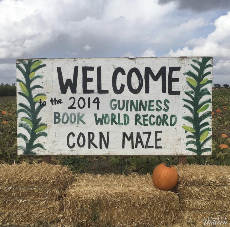 Explore The World’s Largest Corn Maze in Dixon, CA | I Need This Unicorn